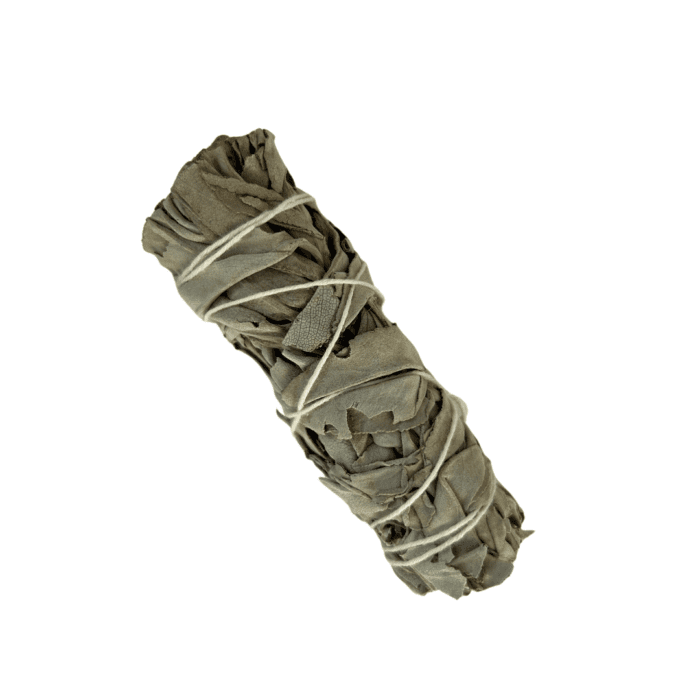 Sage / Shell / Stand Gift Set - Sweetgrass Trading Co