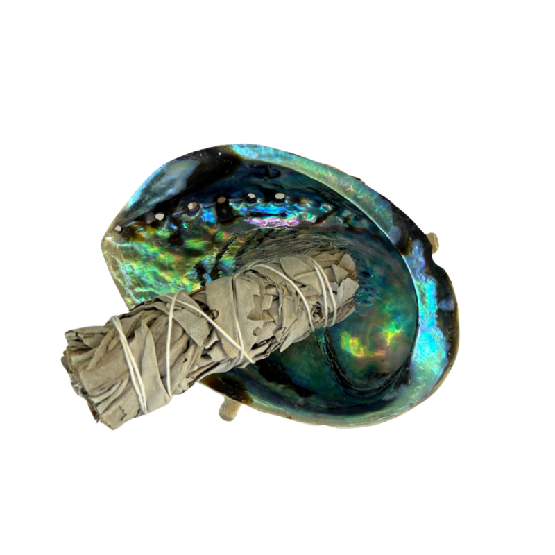 Sage / Shell / Stand Gift Set - Sweetgrass Trading Co