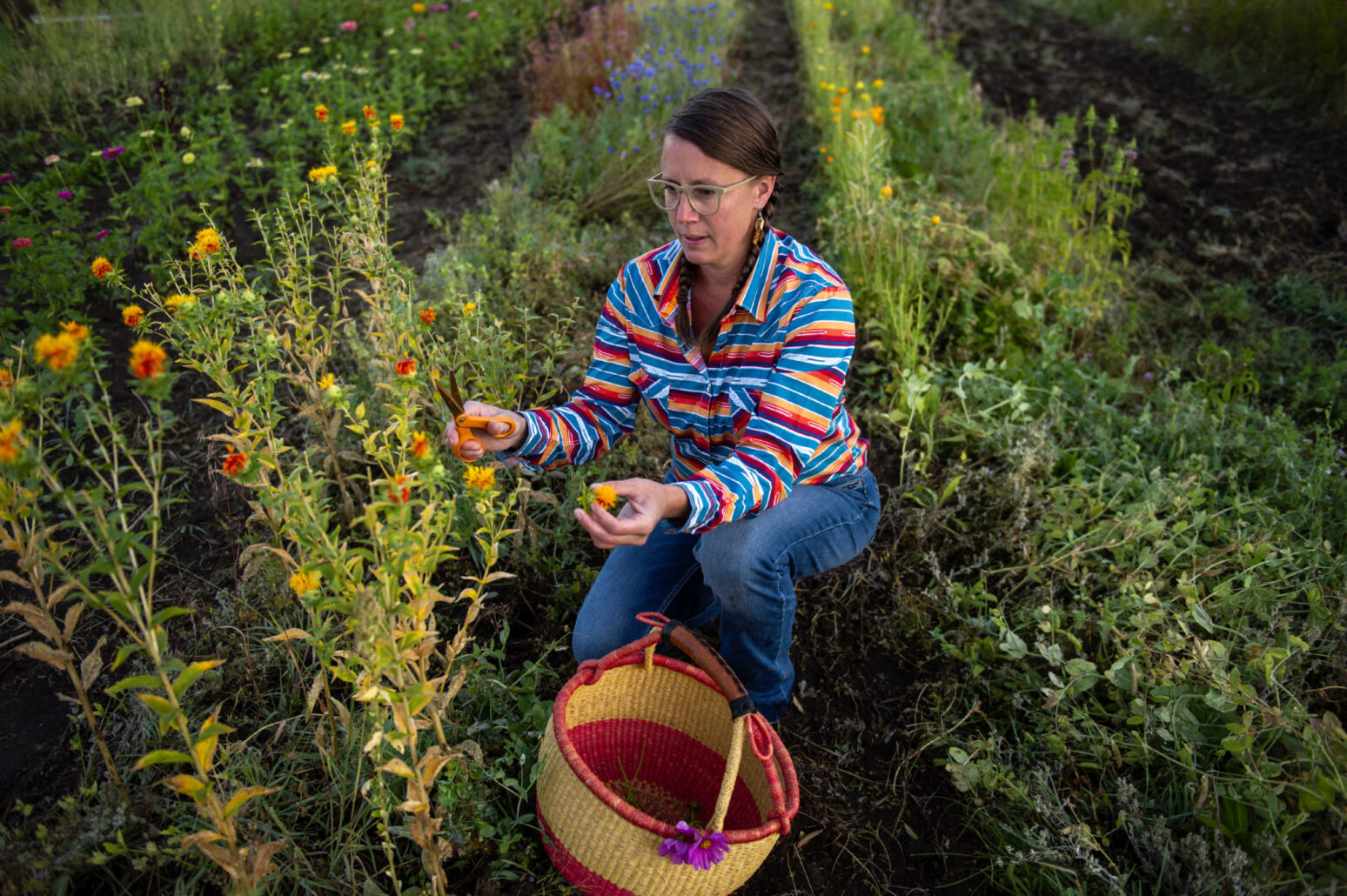 Sakari Botanicals - Sweetgrass Trading Co
