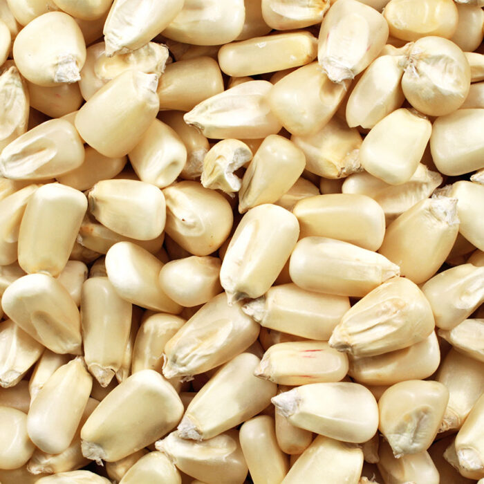 How to make and use hominy - Sweetgrass Trading Co