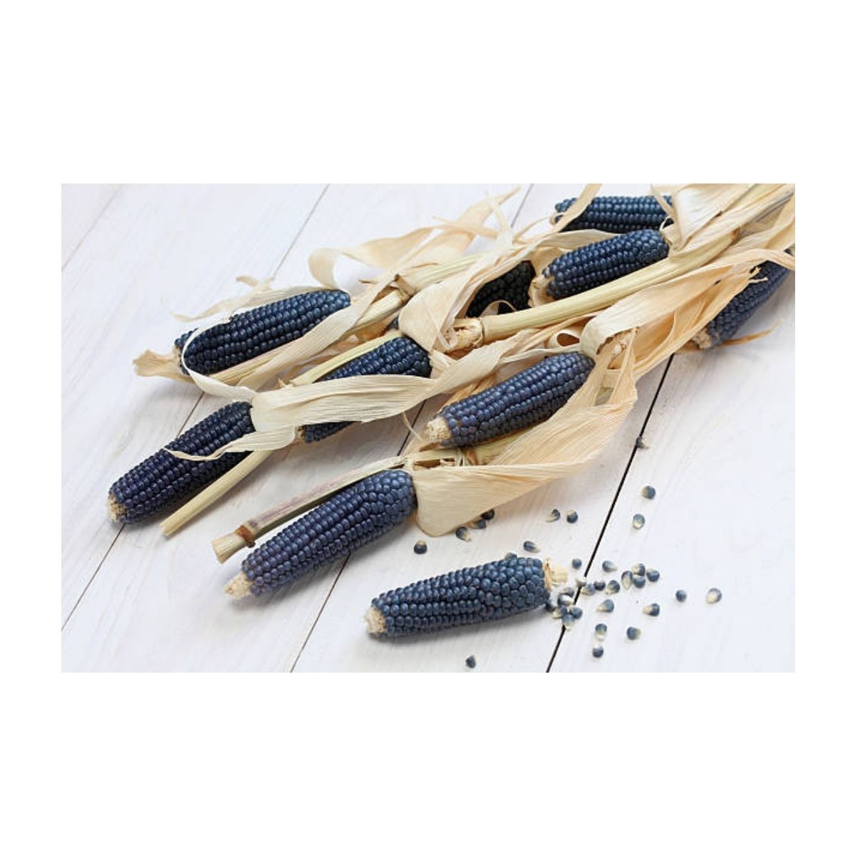 Benefits of blue corn - Sweetgrass Trading Co